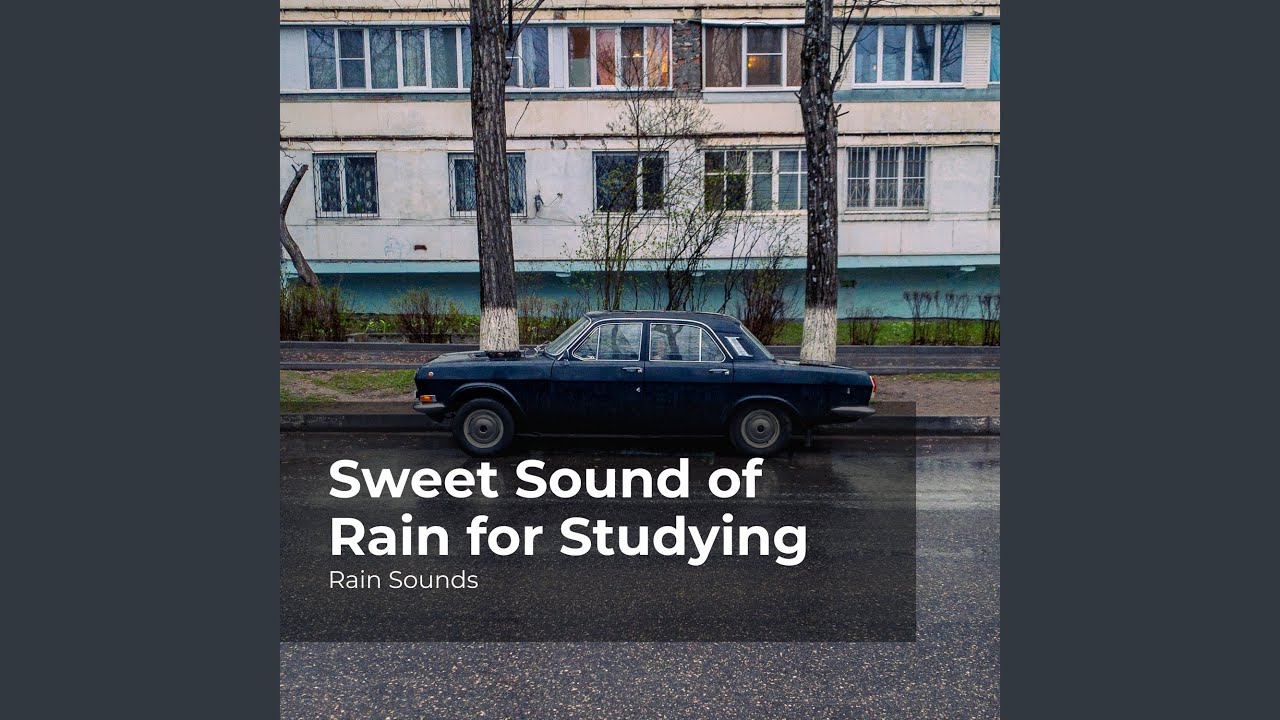 Rhythmic Flow of Rain - YouTube Music