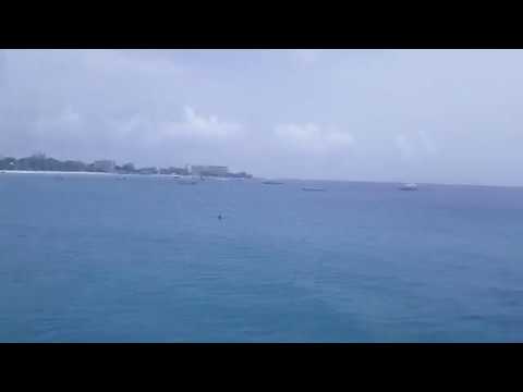 Scorch barbados cooler cruise crop over - YouTube