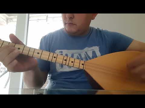 ahmet kaya uçun kuşlar doğduğum yere