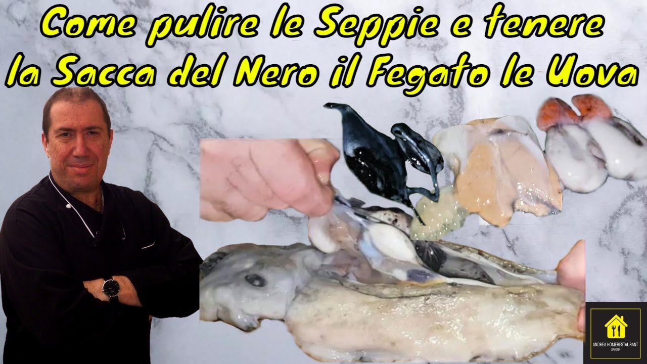 Come pulire le Seppie senza rompere la Sacca del Nero e prendere le ...