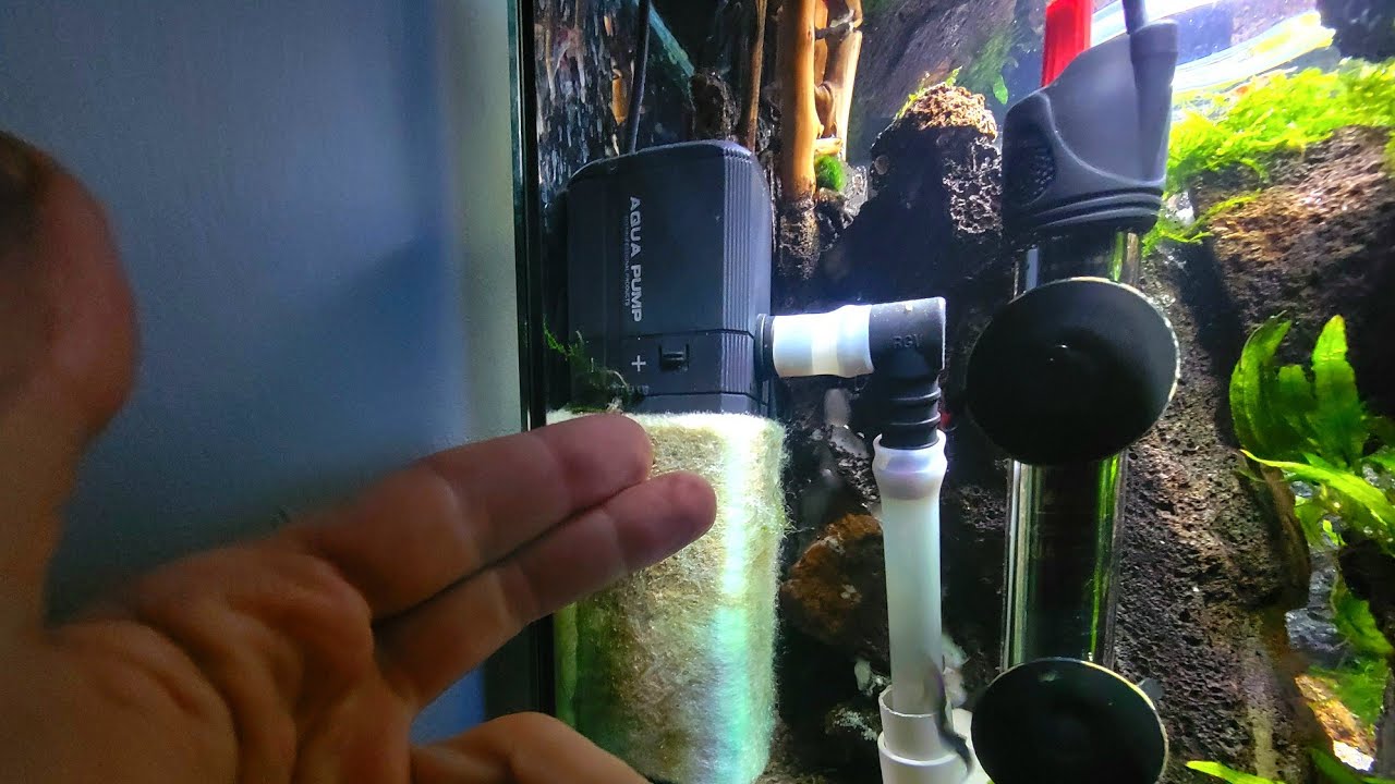 how to hide internal filter and water heater in your small aquarium ...