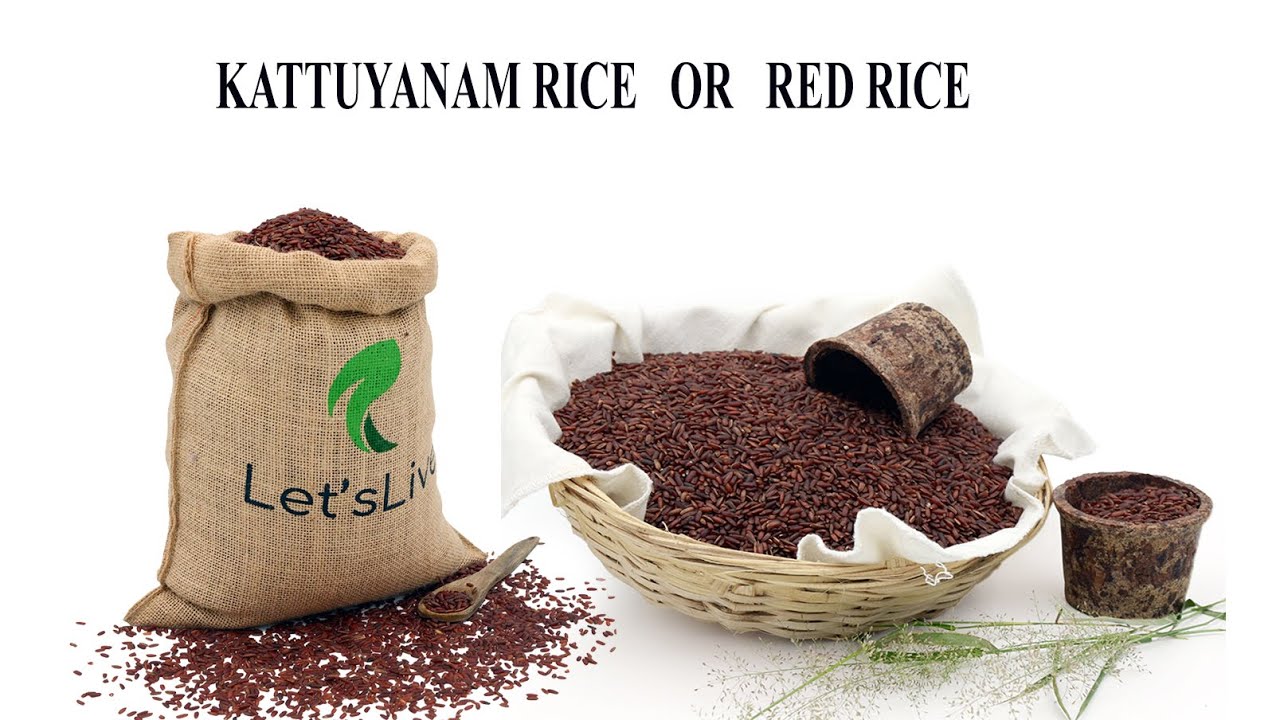 Red Rice | Kattuyanam rice | About Let'sLive Red Rice | English - YouTube