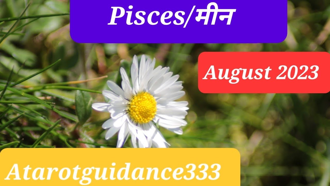 Pisces august reading #pisces #august2023 #atarotguidance333 - YouTube