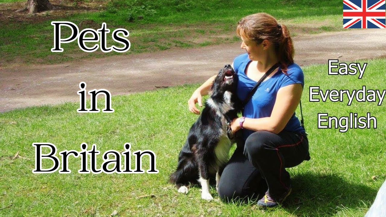 Pets in Britain - Easy Everyday English, level A2 - YouTube