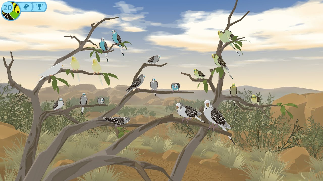 Budgie Genetics Simulator | Ep5 - YouTube