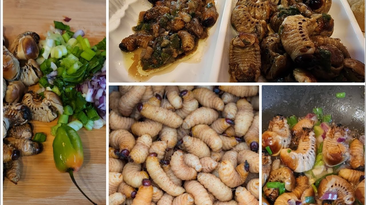 Makokolo Vs Mpose!!!!! - YouTube