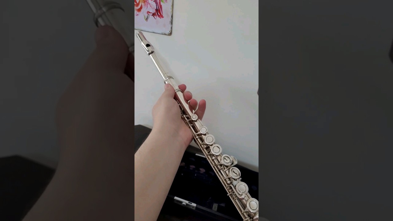 Minha Flauta | Nikkan YFL-31 #flute#flauta#shortsvideo - YouTube