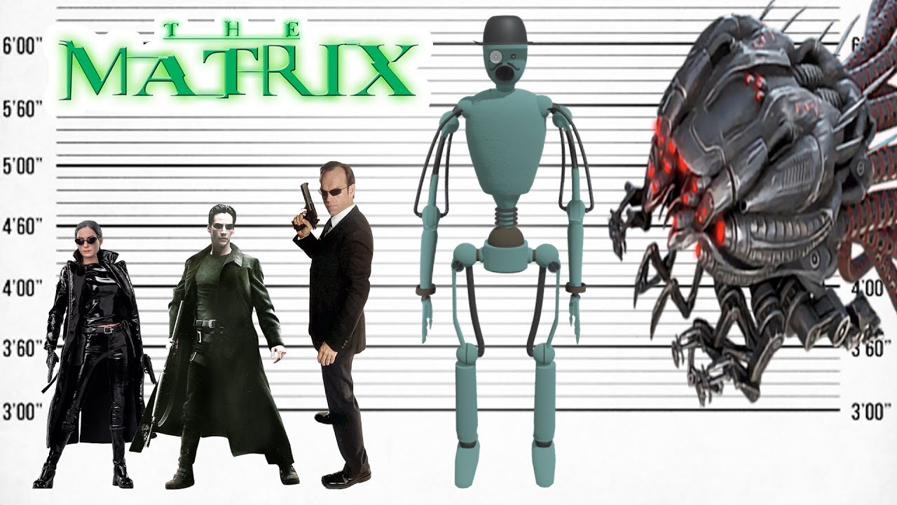 Matrix Realms Unleashed: Size Comparison of Iconic Characters ...
