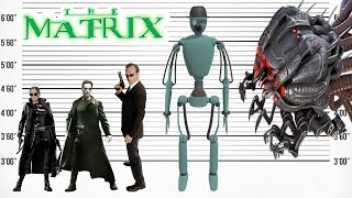 Matrix Realms Unleashed: Size Comparison of Iconic Char... | Doovi