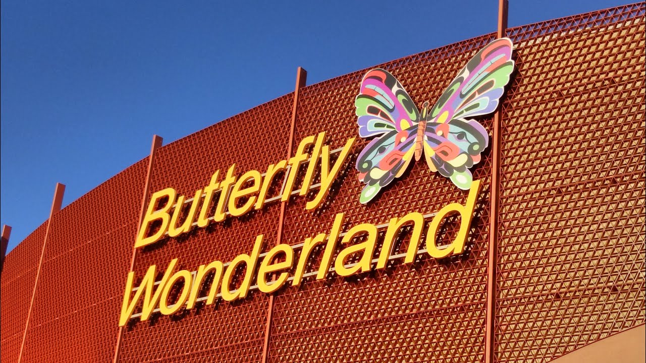 Arizona: Butterfly Wonderland - YouTube