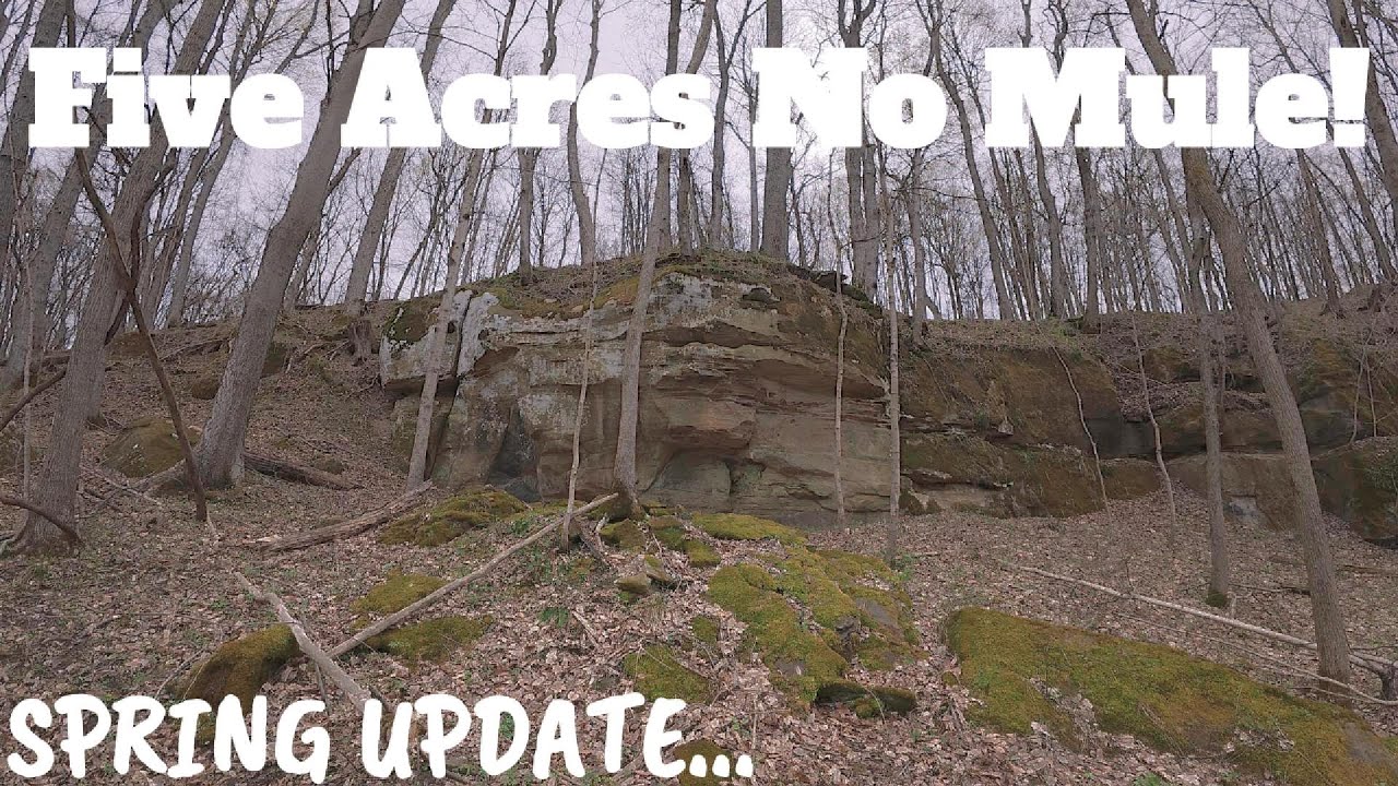 Five Acres No Mule Spring Update - Private Property Signs - YouTube