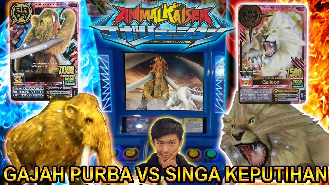 ATLAS VS GALLEON HASILNYA MENGEJUTKAN !!! - ANIMAL KAISER EVOLUTION #4 ...
