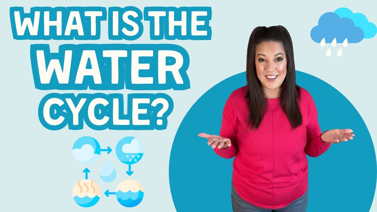 What is the Water Cycle? - YouTube