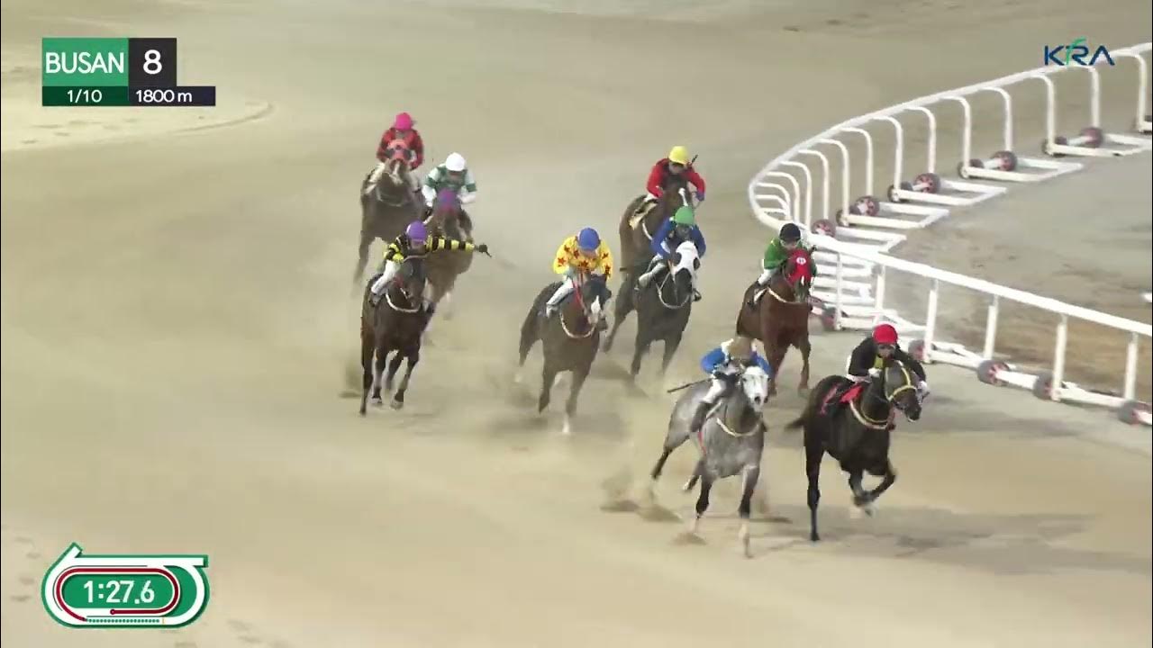 (Busan) 2025.01.10 R8 Class 3 (1800M) Handicap - YouTube