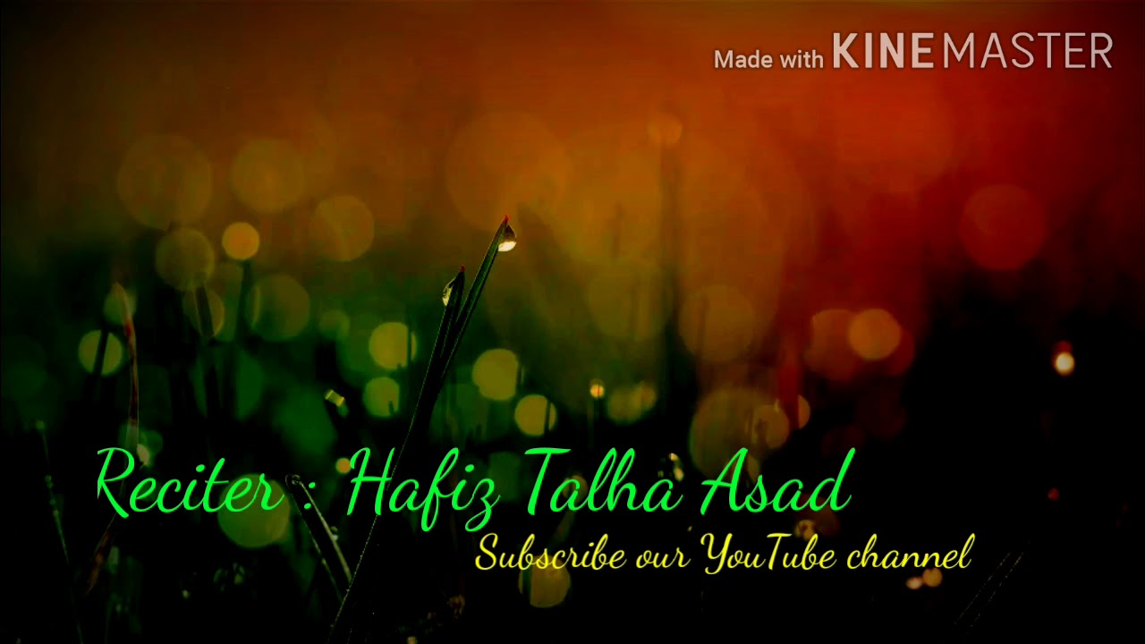 Hafiz Talha Asad - YouTube
