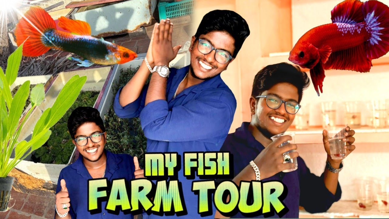 Evalo rate kammiyaa plakard bettas aaaah 🙀athuvum imported quality ...