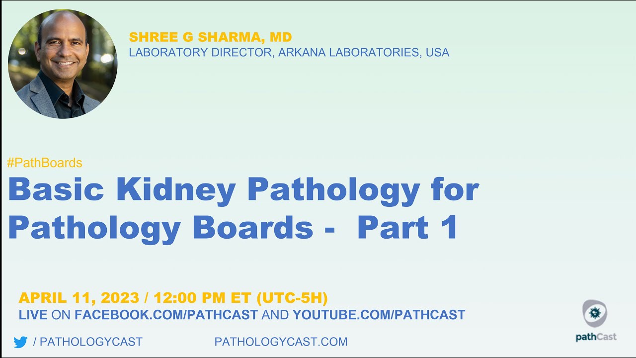 #PATHBOARDS Basic Kidney Pathology for Pathology Boards - Part 1 - YouTube