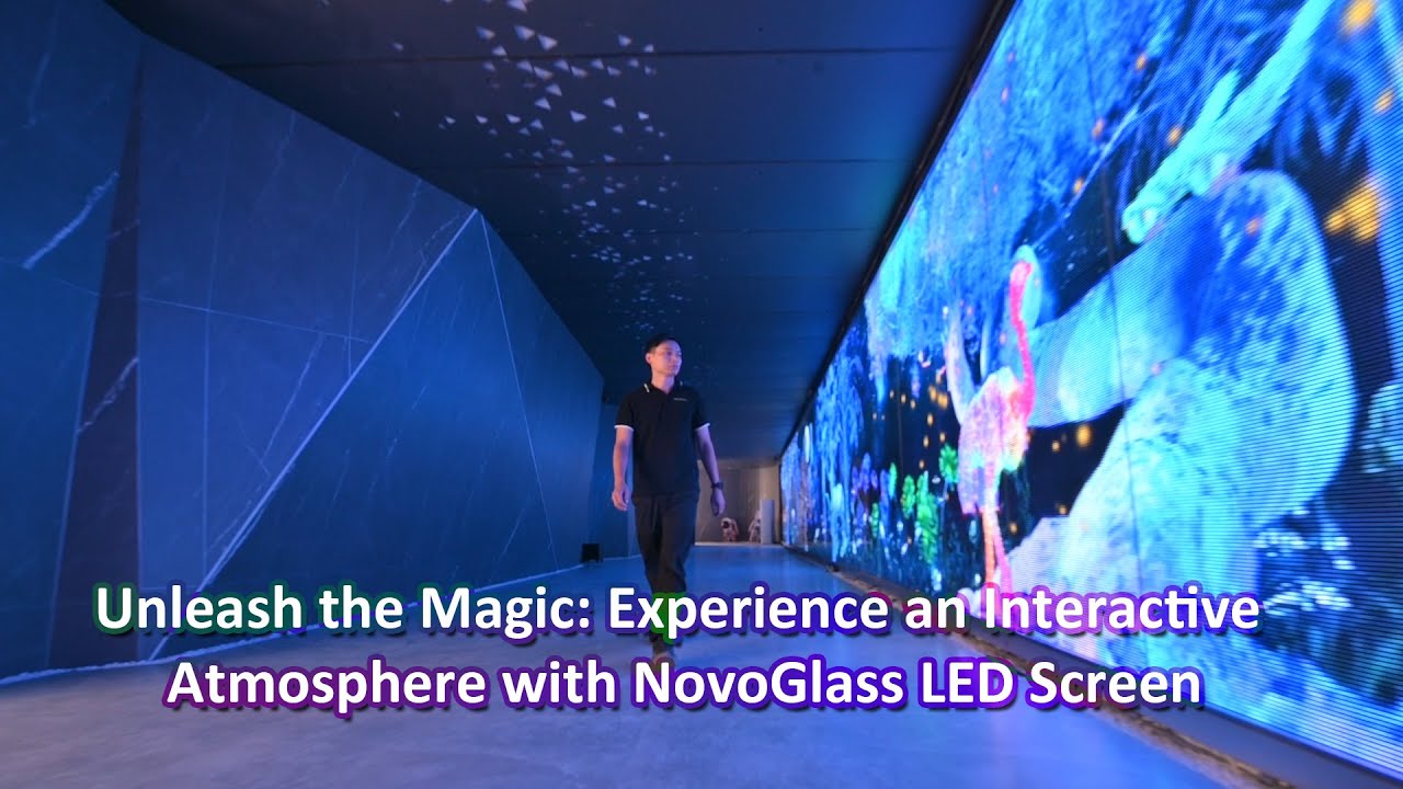 Unleash the Magic: Experience an Interactive Atmosphere with NovoGlass ...