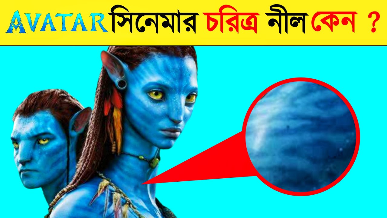 Avatar সিনেমার চরিত্রগুলি নীল কেন ? || Why Avatar Characters are Blue ...