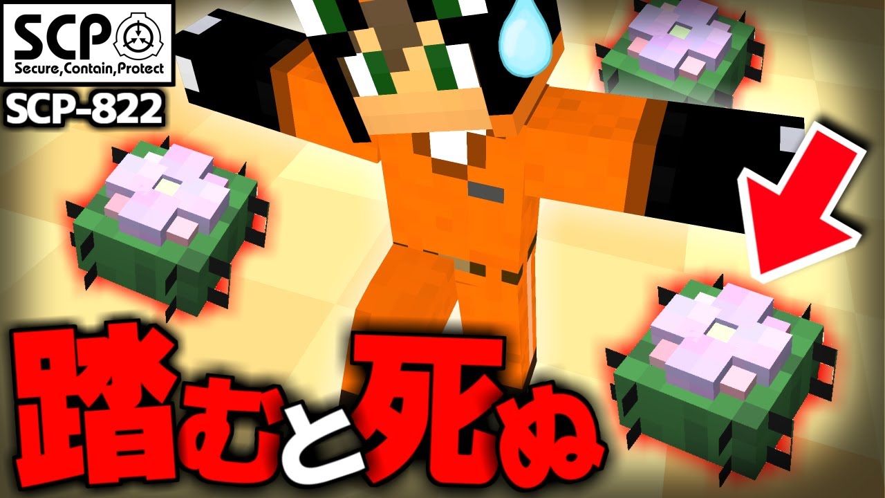 『SCP-822』踏むと爆死してしまうサボテンから博士を救助せよ…【マイクラSCP84話】 - YouTube