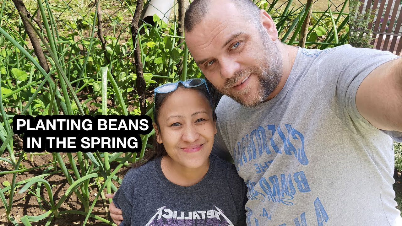 TODAY WE PLANT OUR FIRST BEANS /PLANTING BUSH BEANS GREEN BEANS/SPRING ...