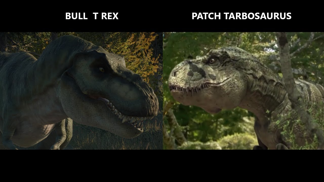 Bull T rex vs Patch Tarbosaurus - YouTube