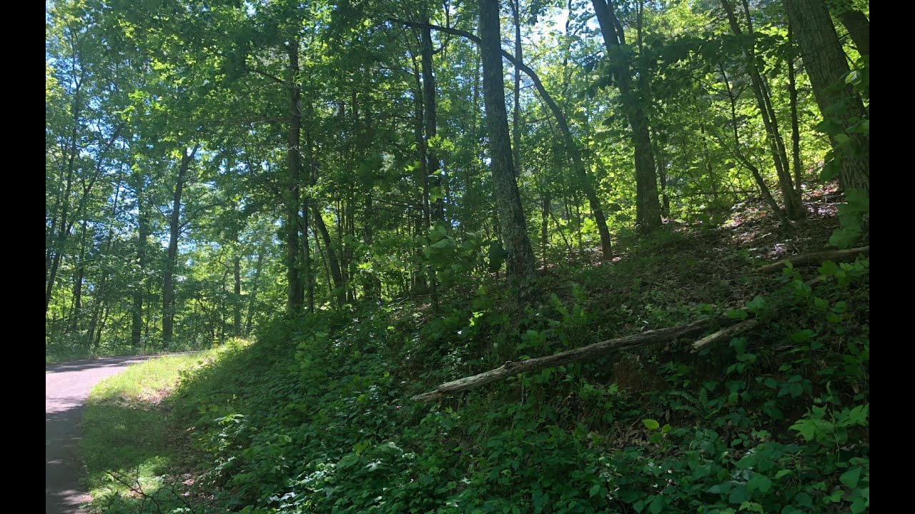 Lots And Land for sale - Lt 16 Ross Ridge, Blairsville, GA 30512 - YouTube