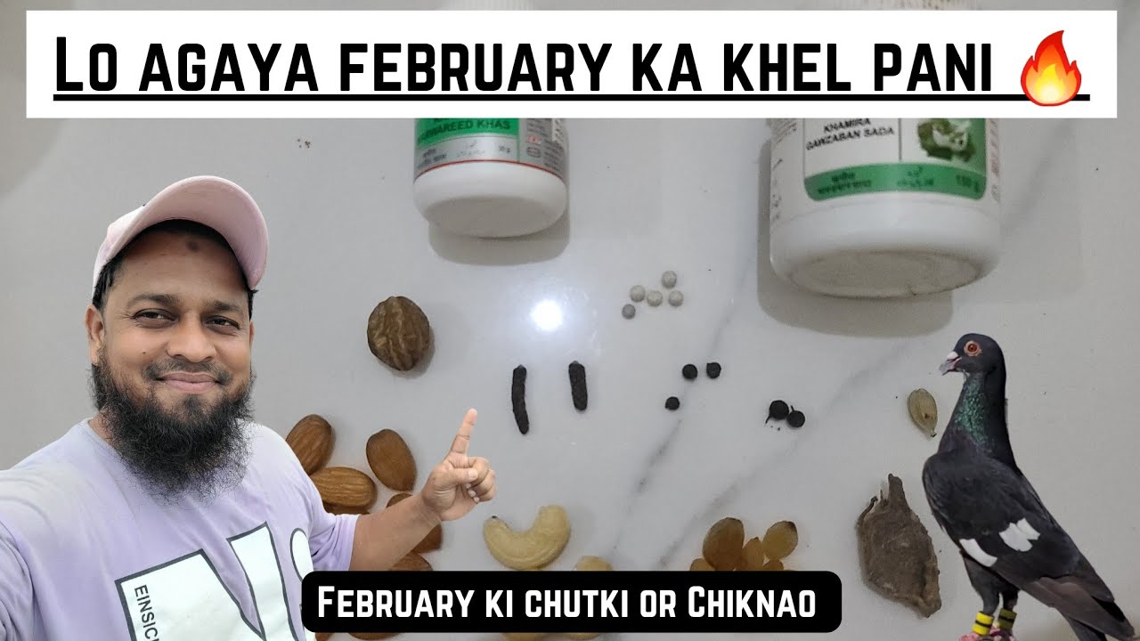 February Me Kabootar Doudane Ka Super Hit Khel Pani 🔥 ...