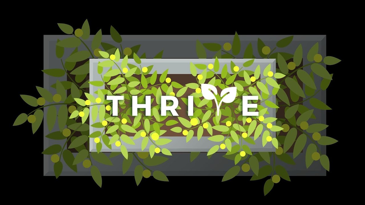5.26.24 | Contemporary Worship | Thrive: Living a Generous Life - YouTube