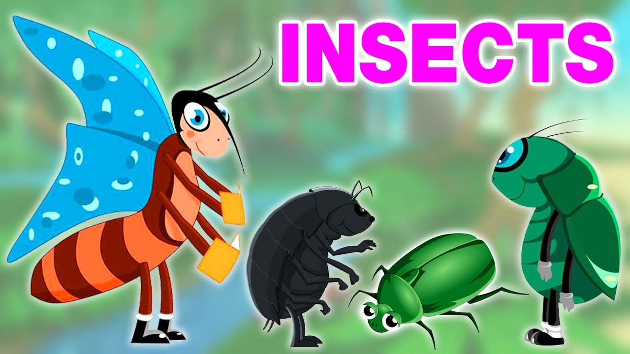Insects | #KidsLearning | 3D Animated Video For Kids | #AnimalNames ...