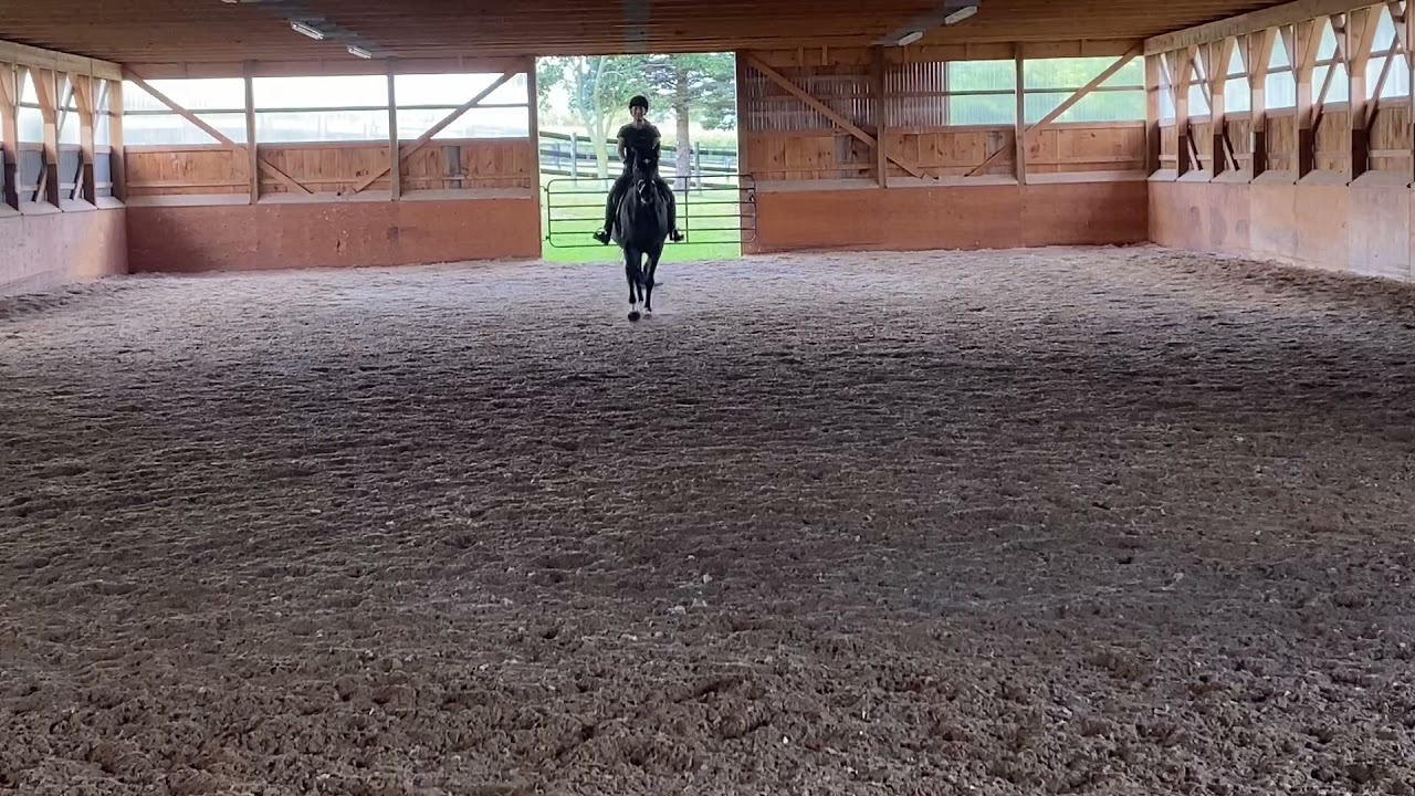 USDF Training Level Test 1 Sept 11 2021 - YouTube