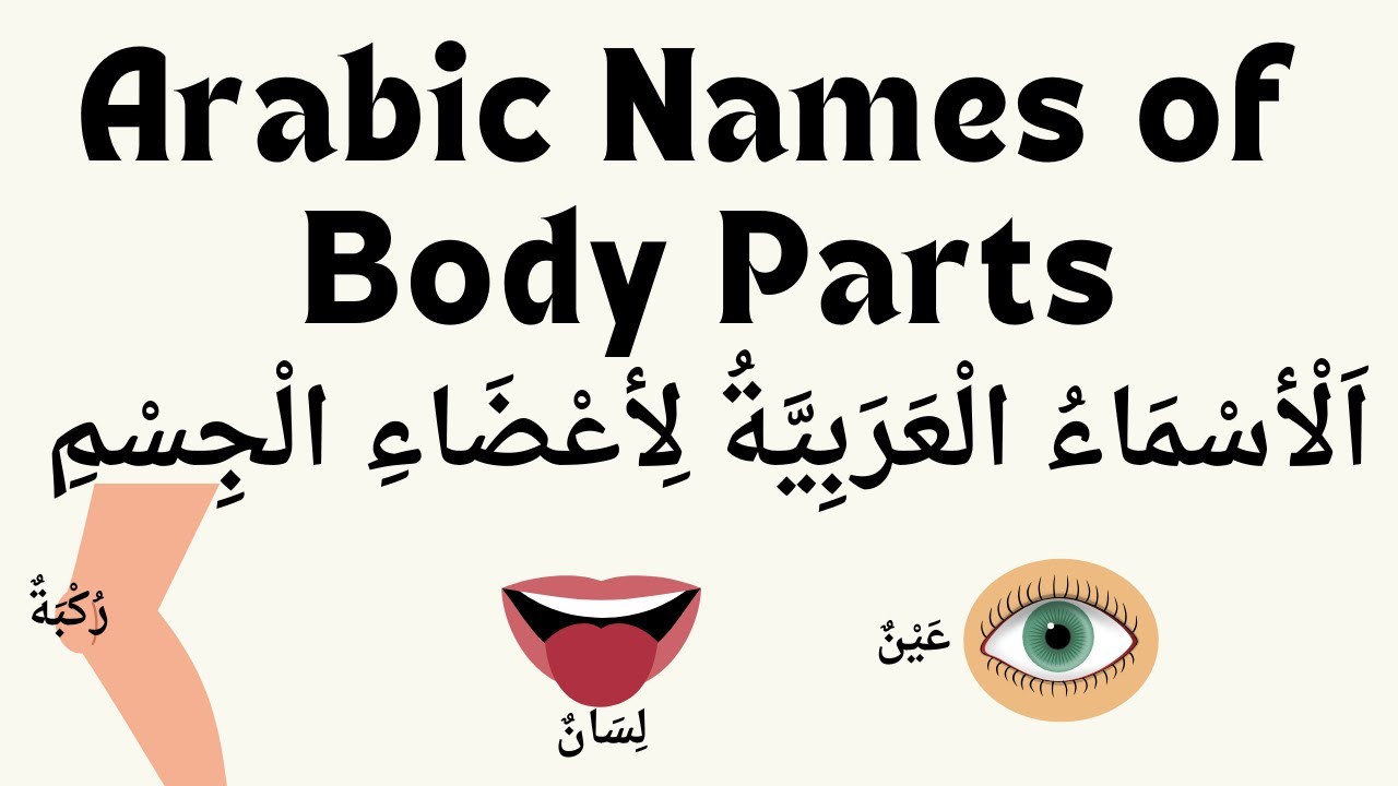 Arabic Names Of Human Body Parts | اسماء أعضاء الجسم - YouTube