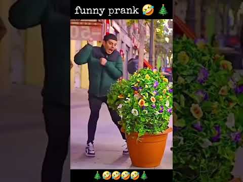 P_4_Pranks_80 - YouTube