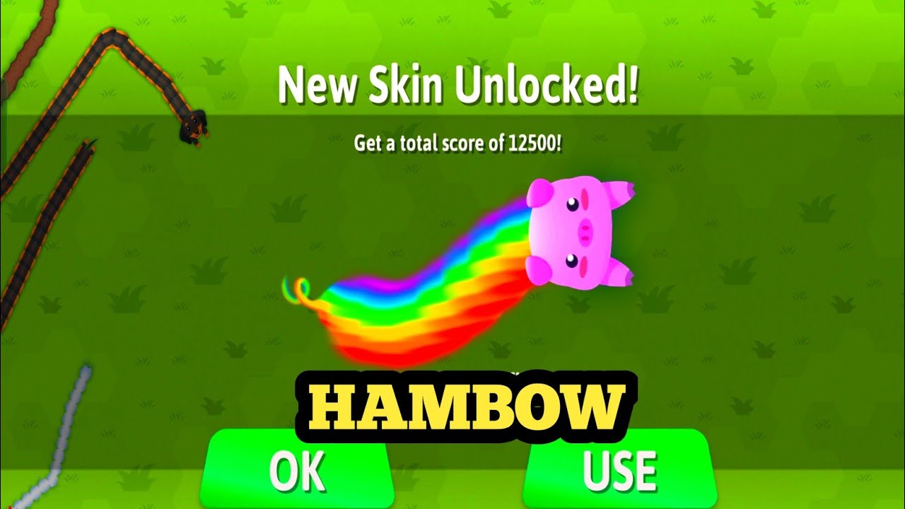 New Hambow Skin Unlocked! Best Epic Snakeio Gameplay #snakeio # ...