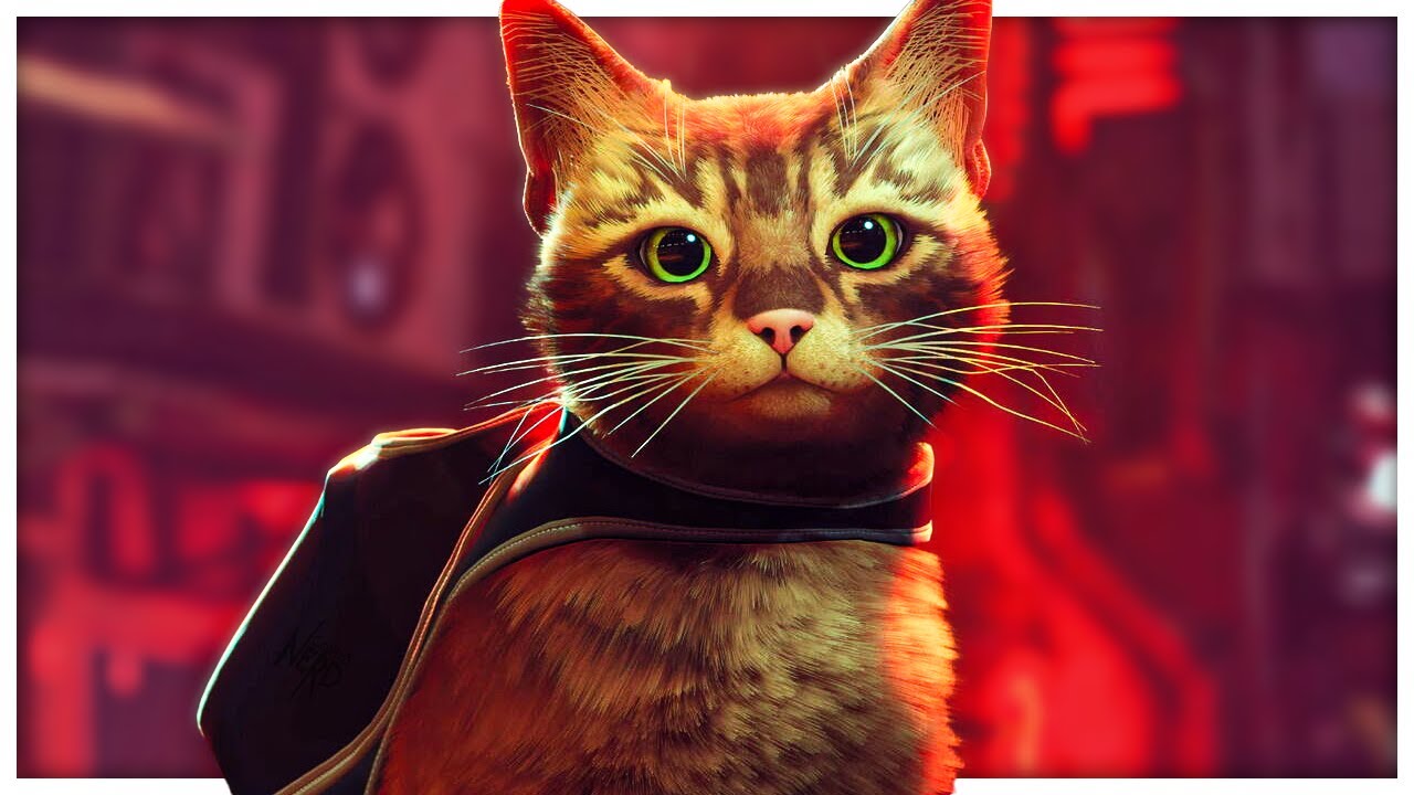 This is a REALISTIC CAT SIMULATOR... I promise... — Stray - YouTube