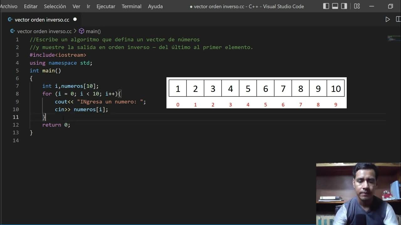 Imprimir un vector en orden inverso C++ - YouTube