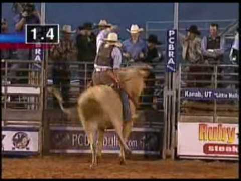Bull Riding BRTV Tag Elliot Kanab - YouTube