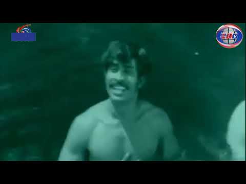 Mustika silam (PENDEKAR SAKTI part 1)