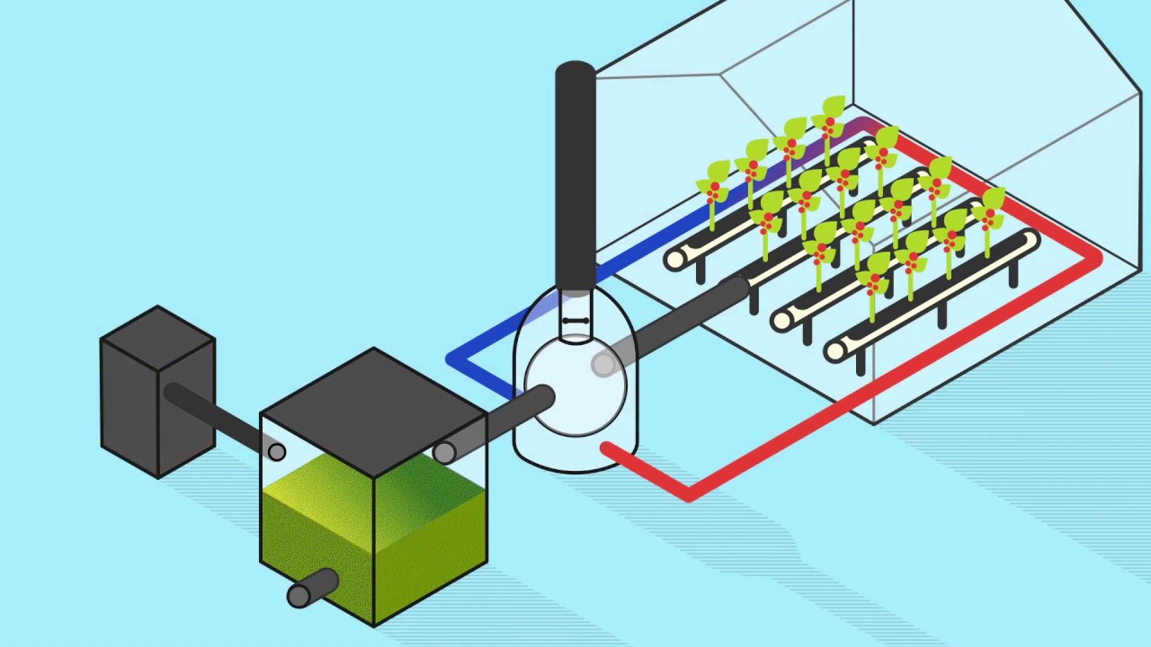 Hot Lime System: Increasing Greenhouse Crop Growth - YouTube