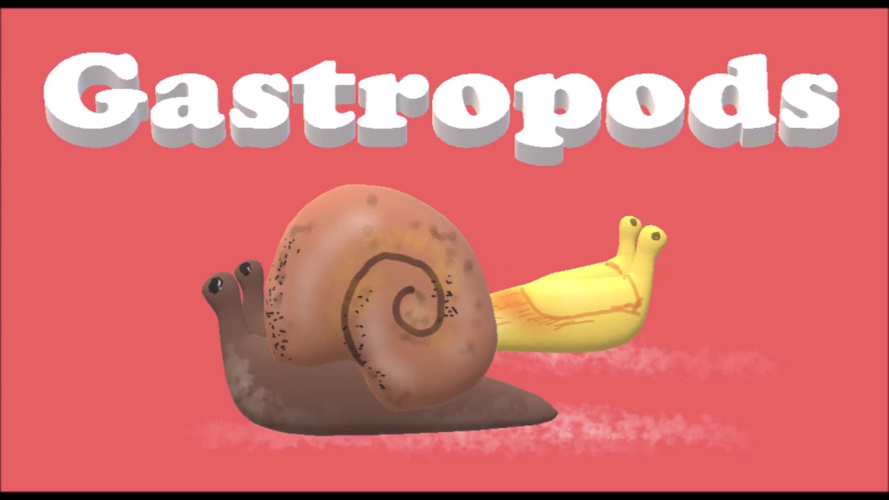 Mollusca (Mollusks): Super Short Phylum Song #6 (A "Summertime" Parody ...