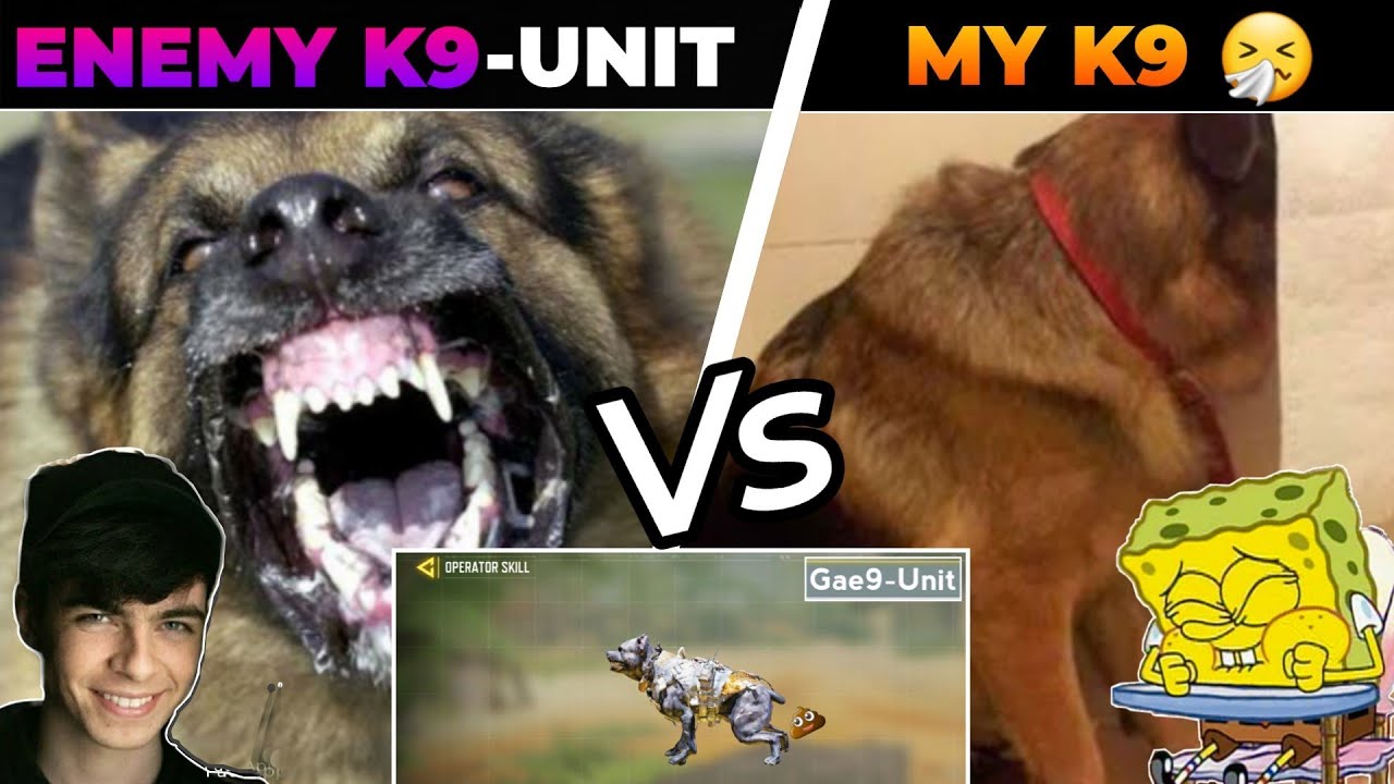 Codm Enemy K9-Unit Vs My Ga-9 Unit. - YouTube