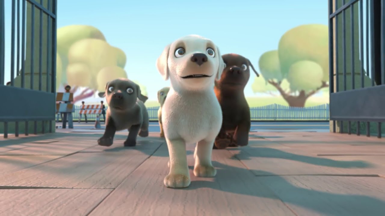 Pip | A Short Animated Film - YouTube