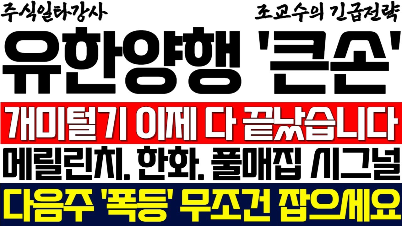 유한양행 주가 조교수 개미털기 이지 다 끝났습니다 메릴린치 한화 큰손 풀매집 시그널 포착 다음주 폭등 무조건 잡으세요