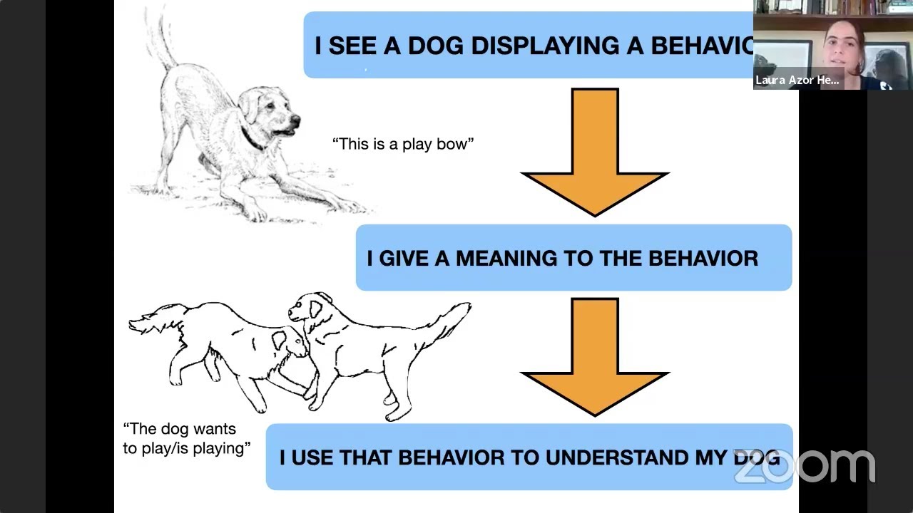 ¿QUE SON LOS ETOGRAMAS? - Conferencia de etograma de perros - YouTube