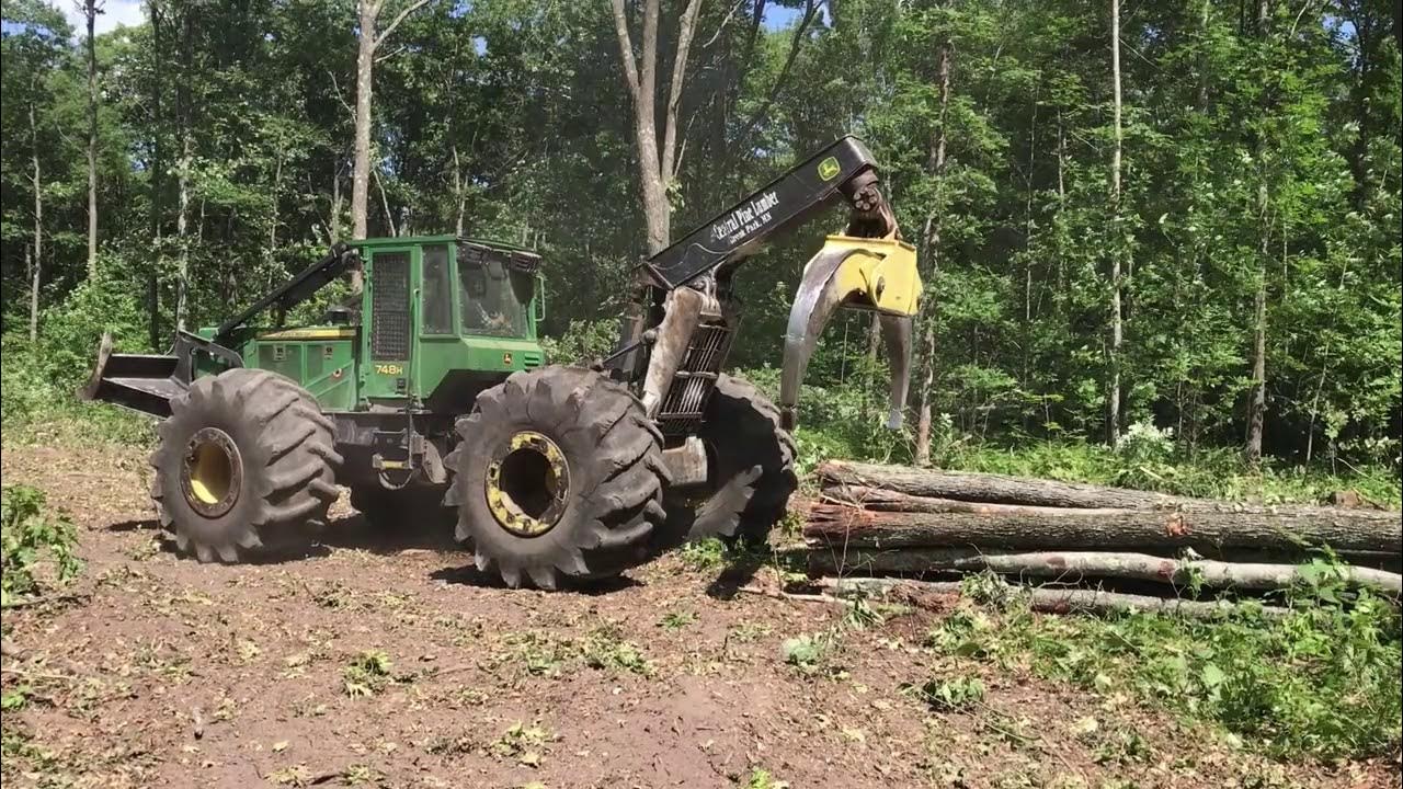 Logging Process videos skidding timber - YouTube