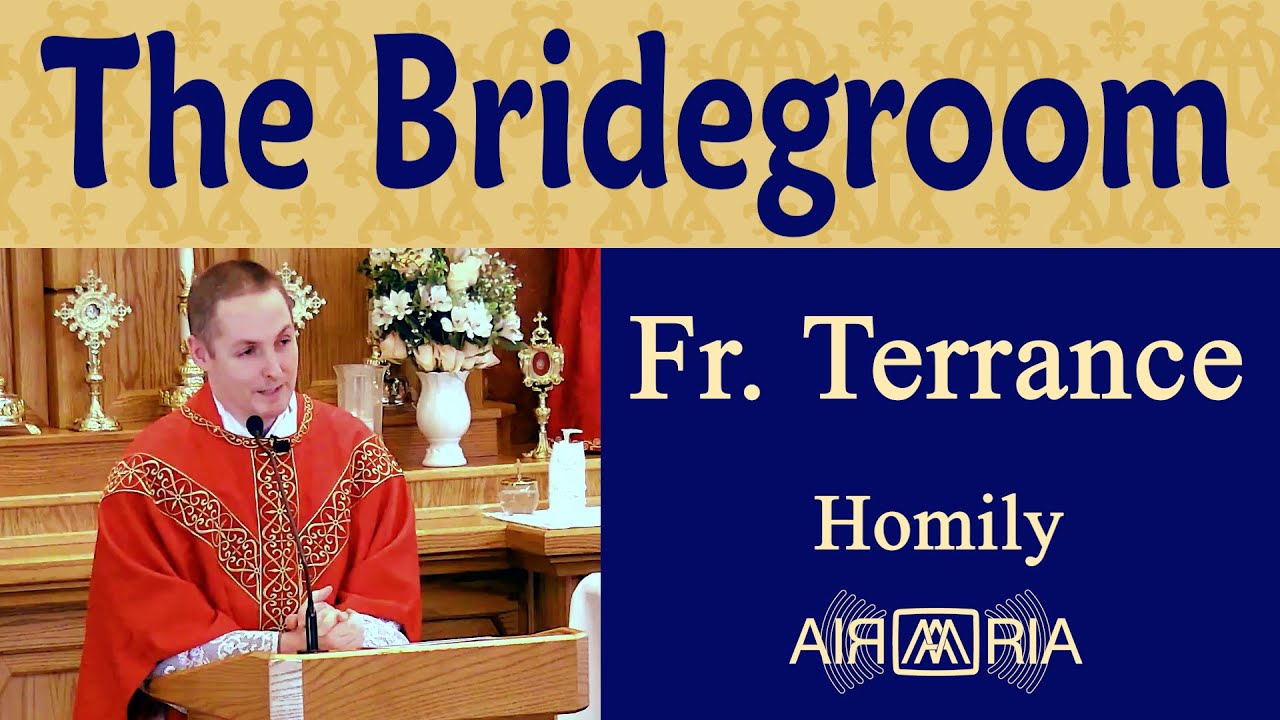 Our Incredible Marriage with God - Jul 08 - Homily - Fr Terrance - YouTube