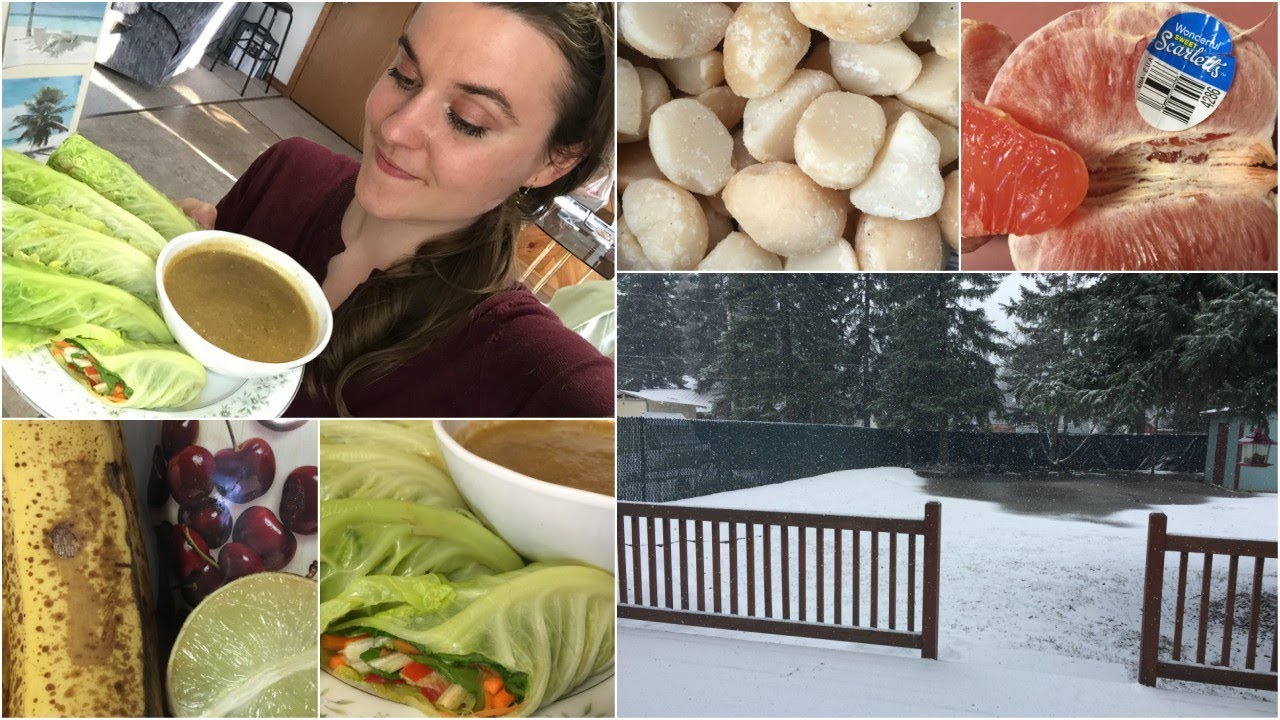 RAW VEGAN in Alaska: what i ate today VLOG + snow in May & the birds ...