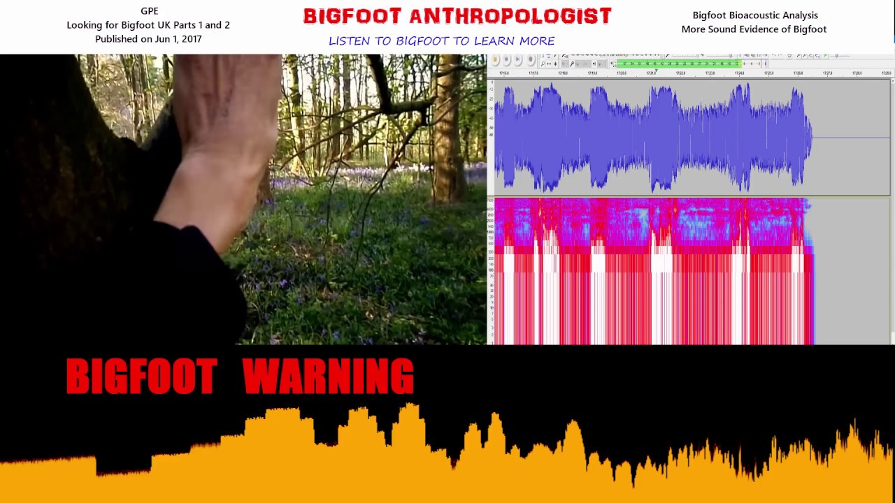 Bigfoot Sounds UK: "Looking for Bigfoot UK Parts 1 and 2" by GPE ...