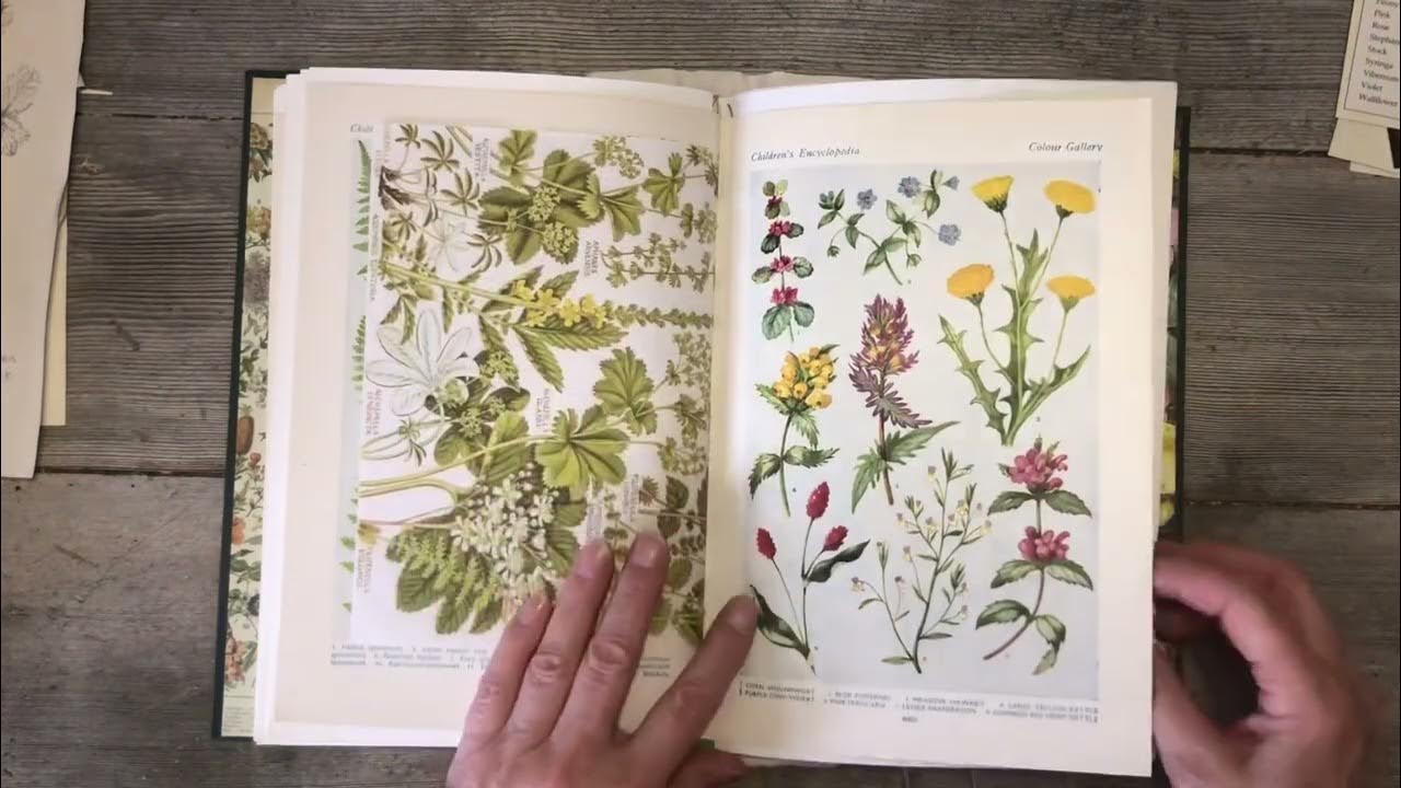 Spring Nature Journal Inspiration - YouTube