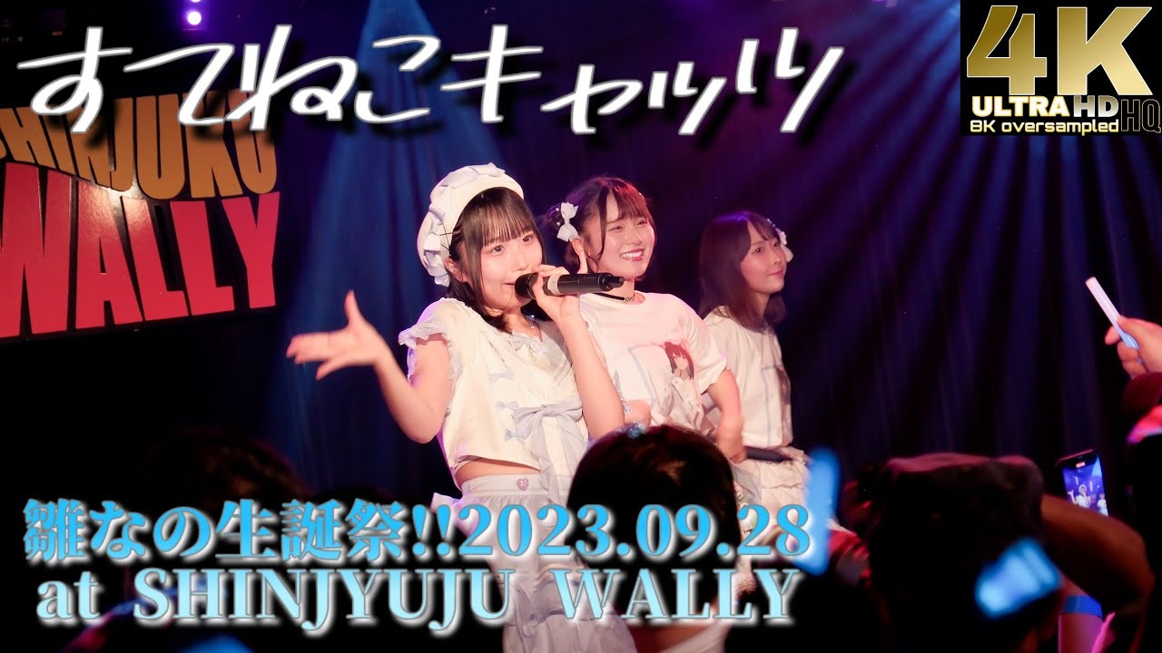 すてねこキャッツ「雛なの生誕祭!!」2023.09.28【4KHQ】SHINJYUKU WALLY - YouTube